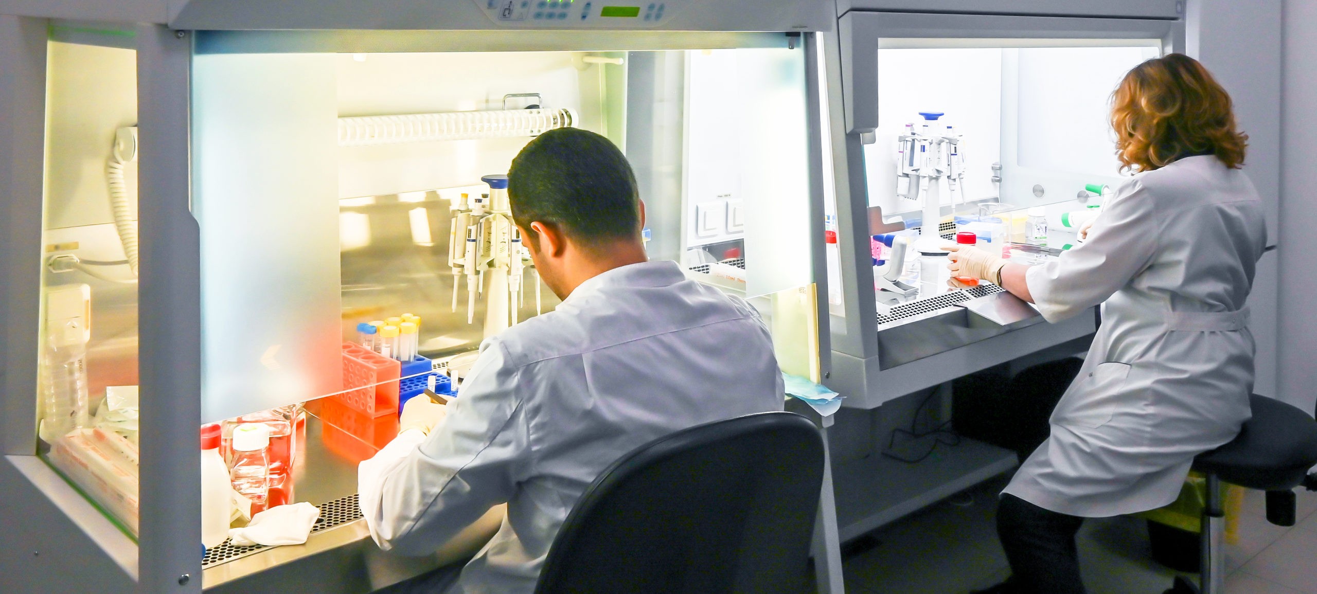 Work in a laminar box. - Akralab