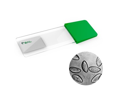 Test de Graham Safe & Clean - Akralab