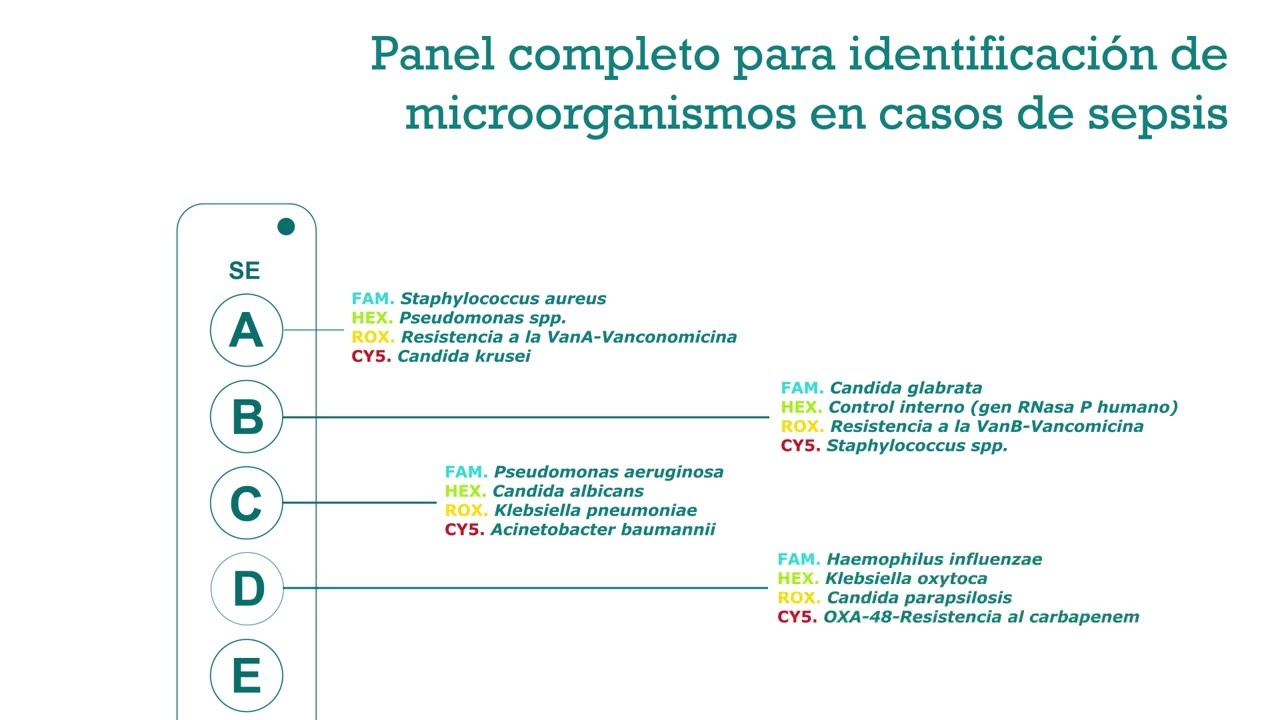 Panel qPCR Sepsis X-30S - Akralab